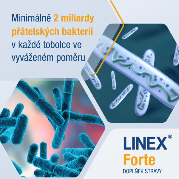 LINEX Forte 28 kapslí, probiotika s prebiotiky - Lékárna.cz
